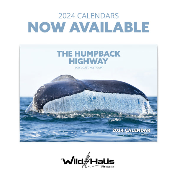 THE HUMPBACK HIGHWAY 2024 CALENDAR - Wild-Haus